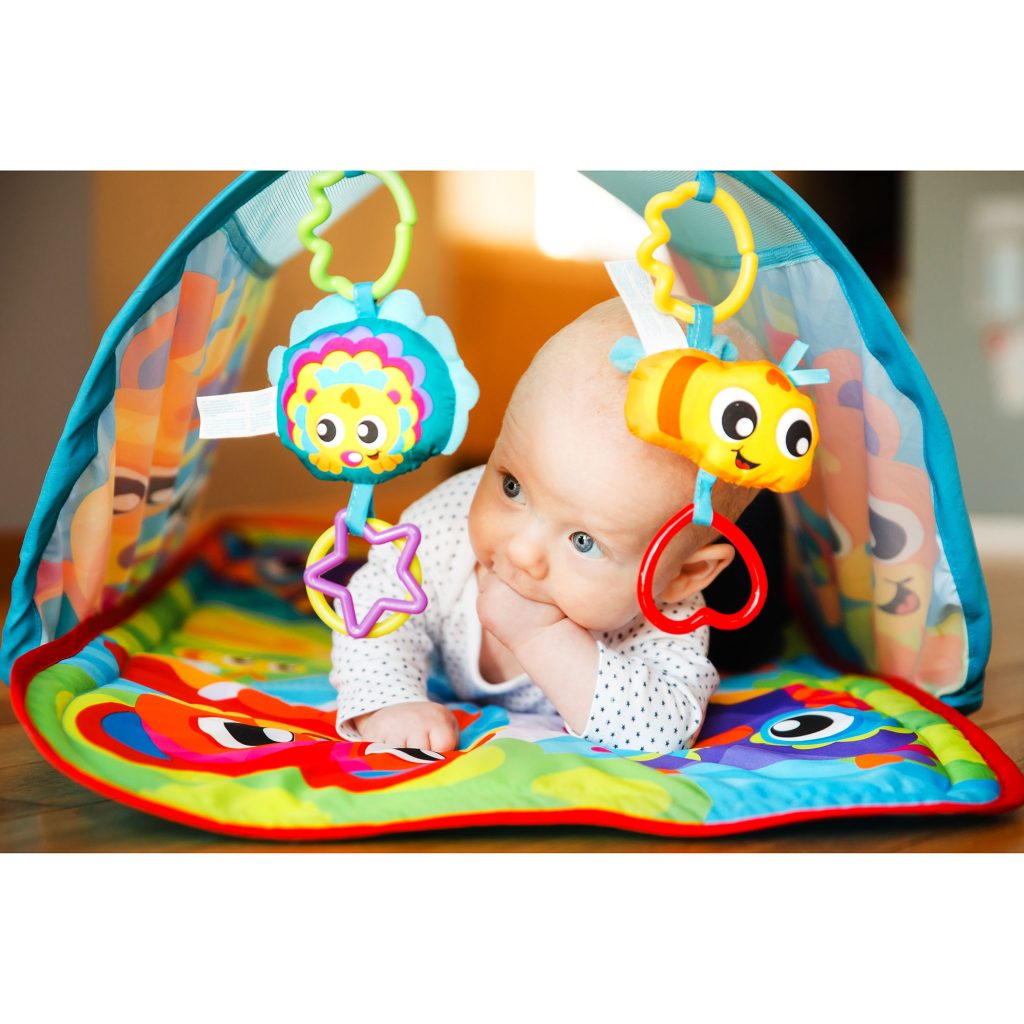 Honey Bee Bear Activity Tunnel Gym – Playgro Turkey